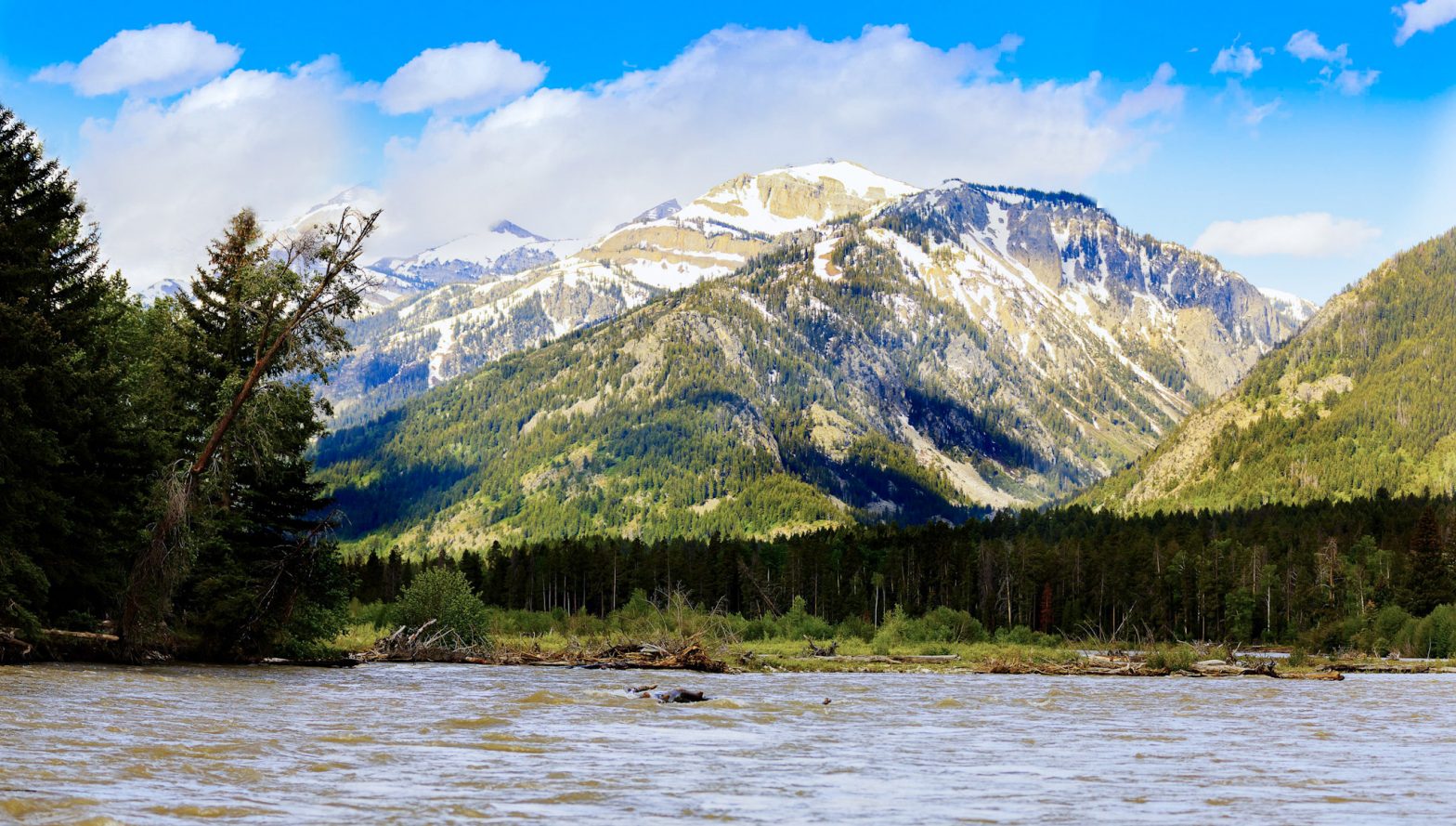 Flying Fishing the Snake River - Snake River Angler