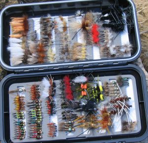 Snake River Angler Fly Fishing Report For June 25th, 2025 - Snake River ...