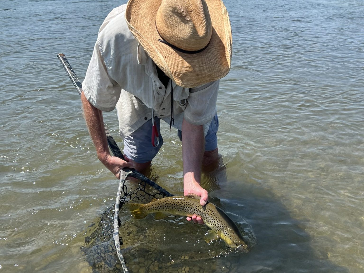 Snake River Angler Fly Fishing Report For July 5th, 2025 - Snake River ...