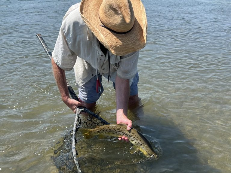 Snake River Angler Fly Fishing Report For July 5th, 2025 - Snake River ...